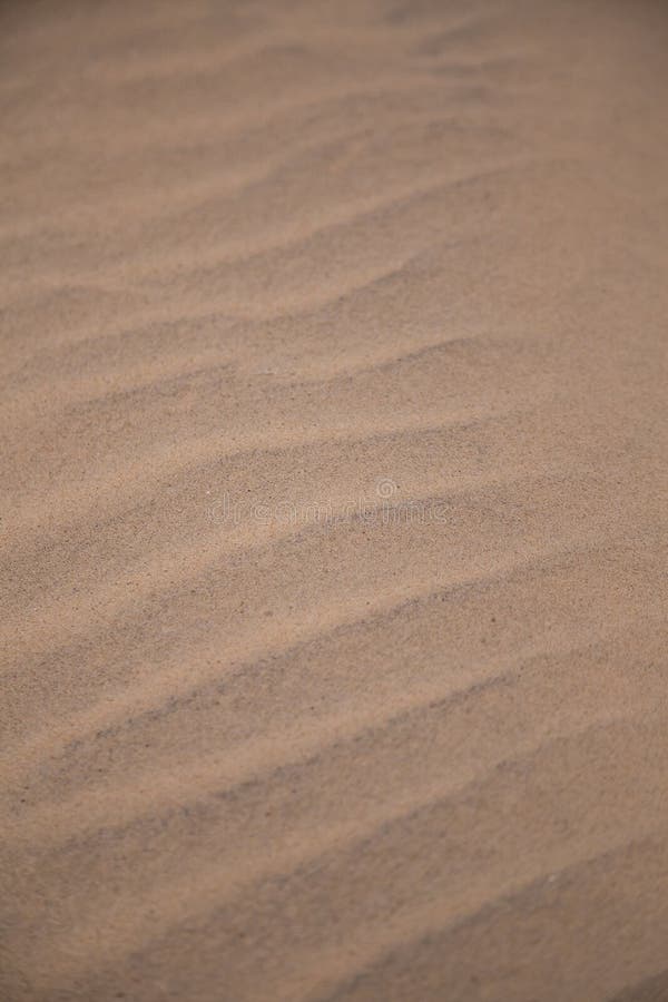 A Beautiful Sea Sand Pattern on a Beach. Baltic Sea Shore Sand Texture ...