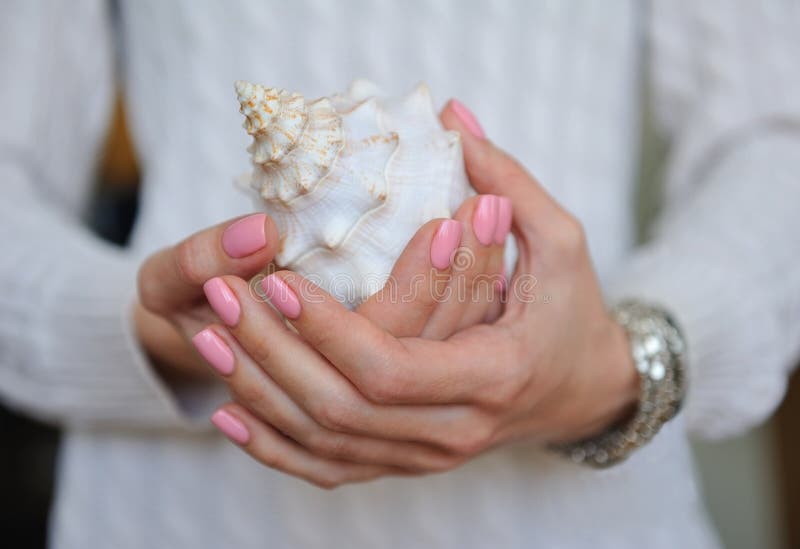 Beautiful Sea Shell in Hands Stock Image - Image of design, body: 51899195