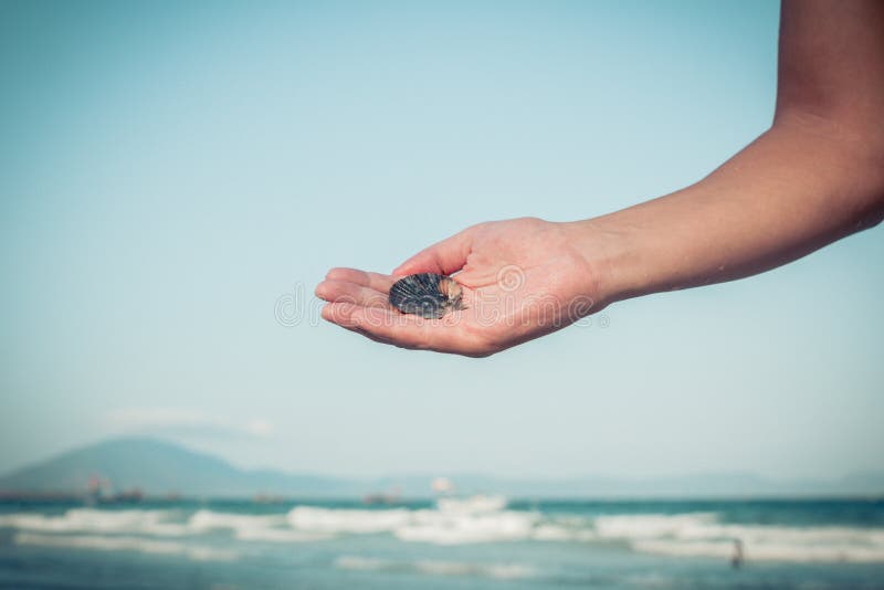 Beautiful Sea Shell on the Man`s Hand Stock Photo - Image of plate ...
