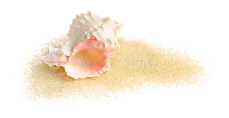 Beautiful Sea Shell and Sand on Background Stock Photo - Image of ...