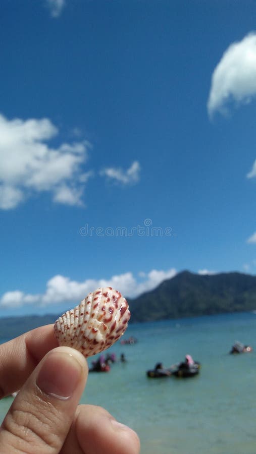 Beautiful Sea Shells with a Beautiful View Stock Image - Image of blue ...