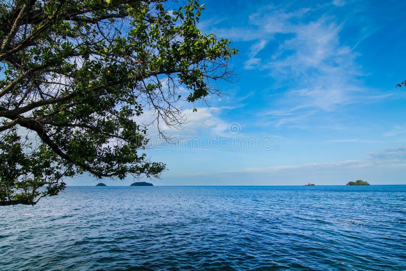 Beautiful Sea with Sky and the Tree Stock Image - Image of tree ...