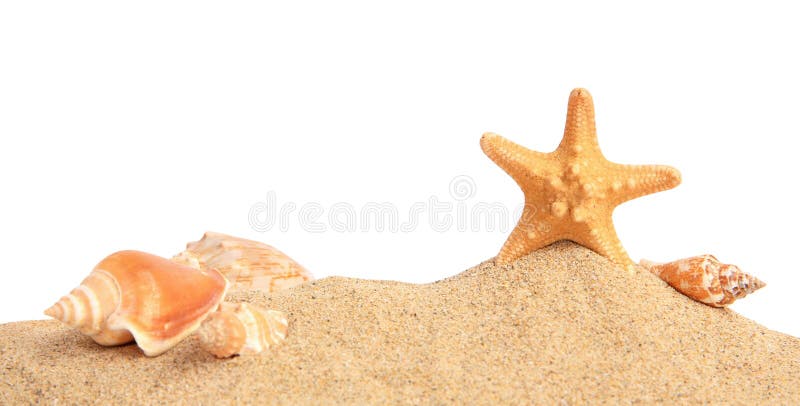 Beautiful Sea Star, Shells and Sand Isolated on White Stock Photo ...