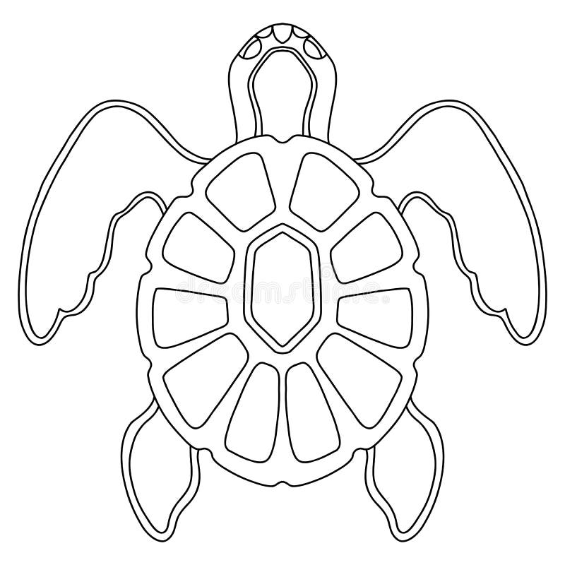 Beautiful Sea Turtle Coloring Template Vector Illustration Stock Vector ...