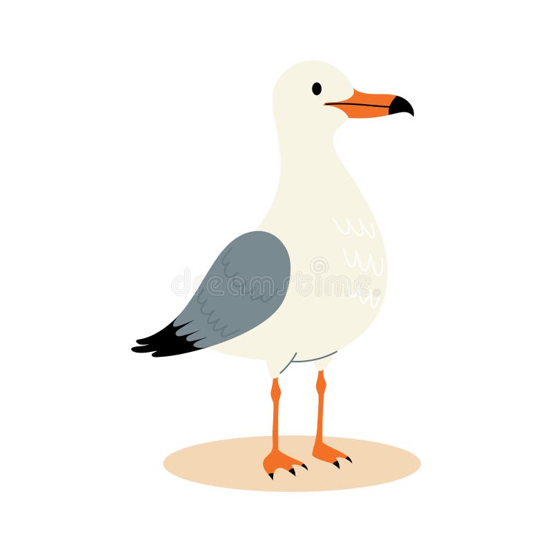Beautiful Seabird Seagull. Vector Illustration Stock Vector ...