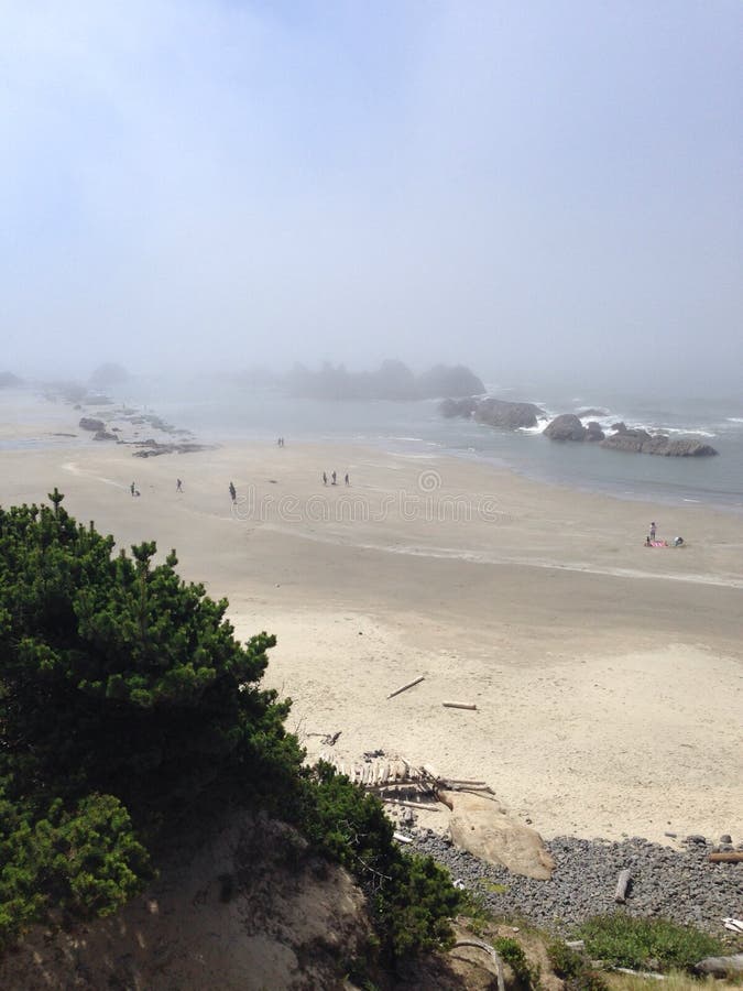 Beautiful seal rock Oregon stock image. Image of oregon - 45185973