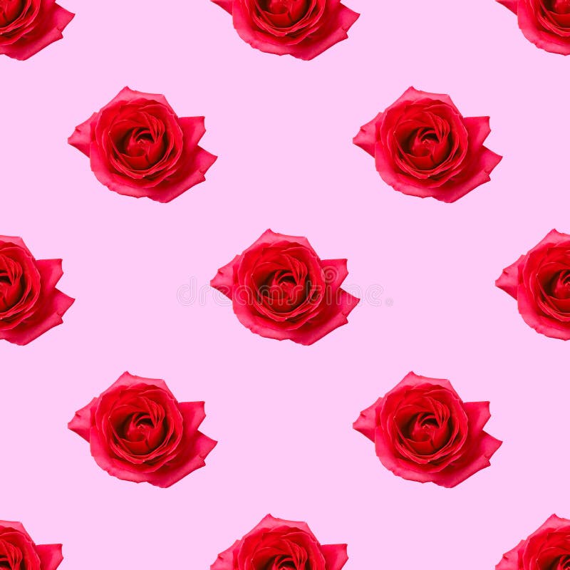 Beautiful Seamless Floral Pattern with Fresh Red Roses on Pink ...