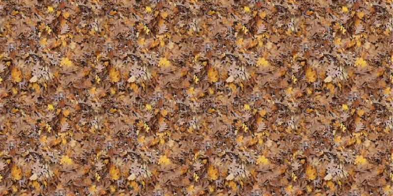 Beautiful Seamless Leaves Forest Ground Leaf Texture Wallpaper ...