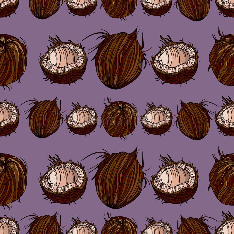 Beautiful Seamless Pattern with Coconut. Stock Vector - Illustration of ...
