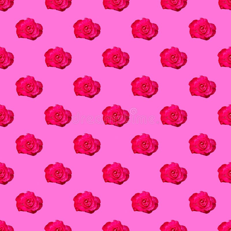 Beautiful Seamless Pattern with Pink Fresh Roses on Pink Background ...
