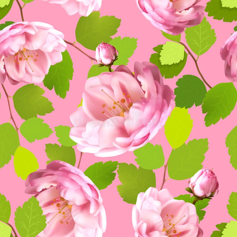 Beautiful Seamless Pattern with Realistic Roses on a Pink Background ...