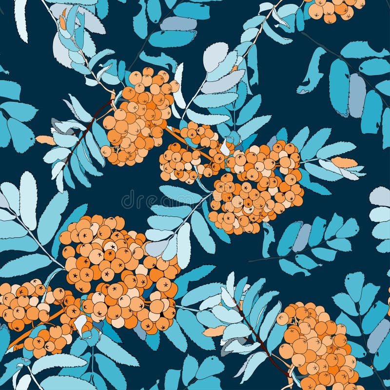 Rowan Tree with Berries for Your Design Stock Vector - Illustration of ...