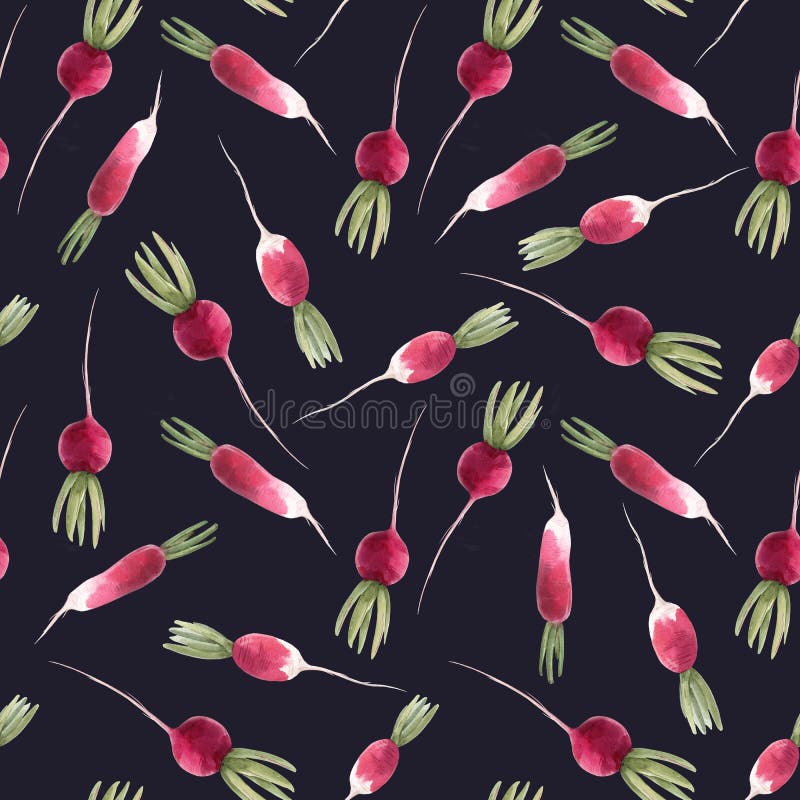 Watercolor Red Radish Seamless Pattern Stock Illustration ...