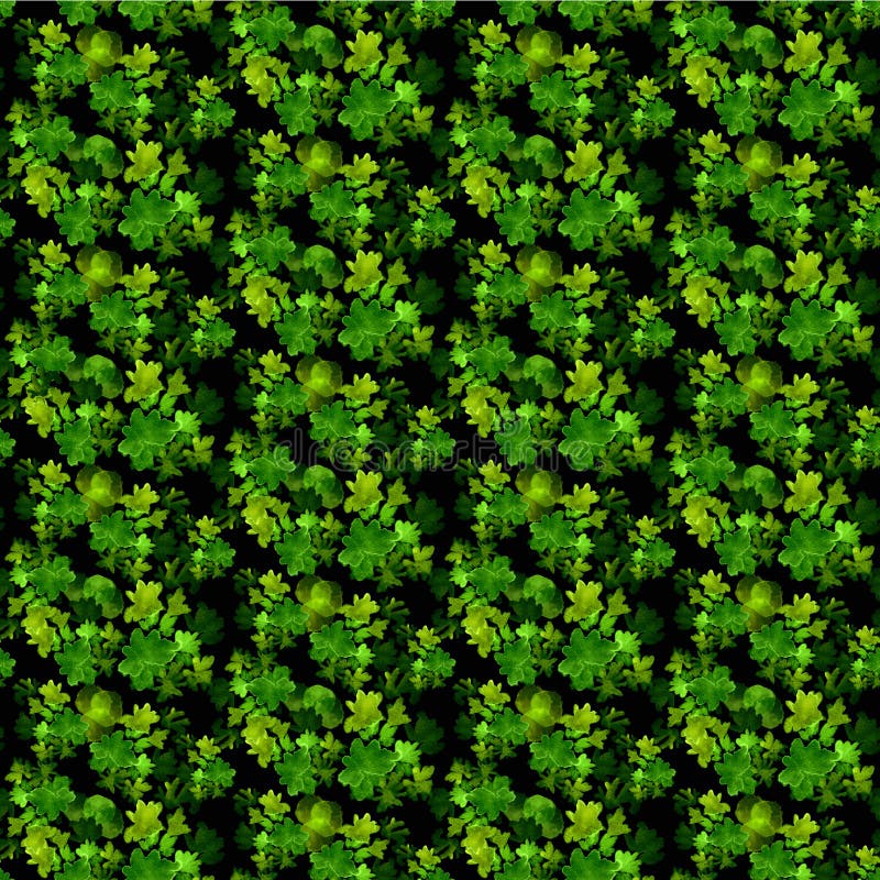 Beautiful Seamless Texture Imitating Plant Greenery. Pattern of Bright ...