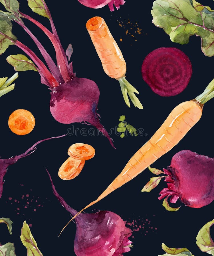 Watercolour Beet Stock Illustrations – 112 Watercolour Beet Stock ...