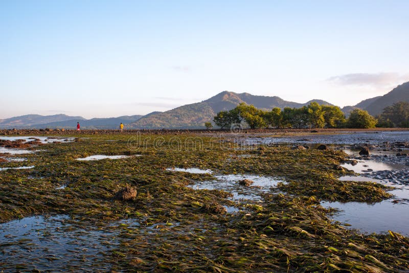 Beautiful Seascape at the Beach of Lian, Batangas Editorial Photo ...