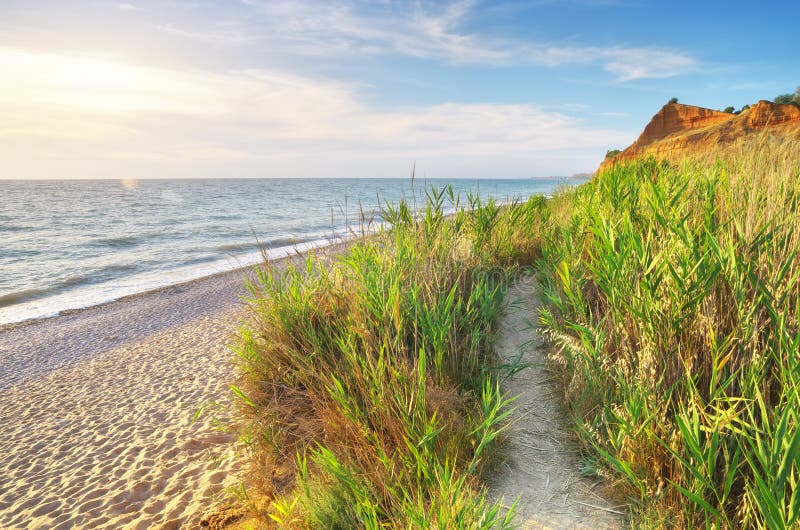 Beautiful Seascape Beach Nature Stock Image - Image of coast, grass ...