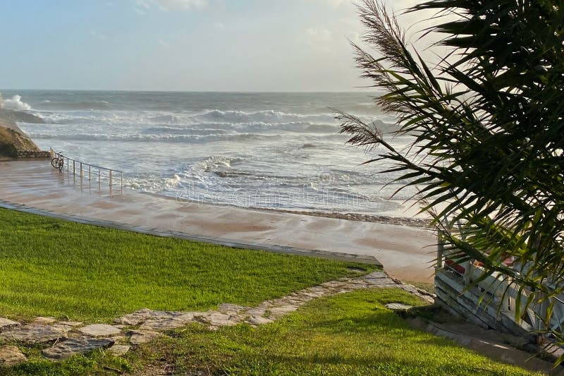 Beautiful Seascape with Green Grass and Stone Path on the Beach Stock ...