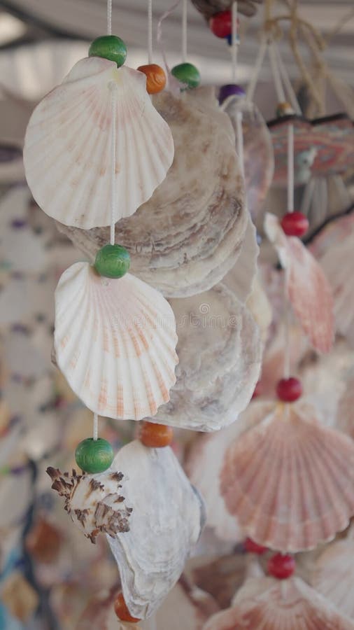 Beautiful Seashell Decorations Showcase Coastal Craftsmanship Stock ...