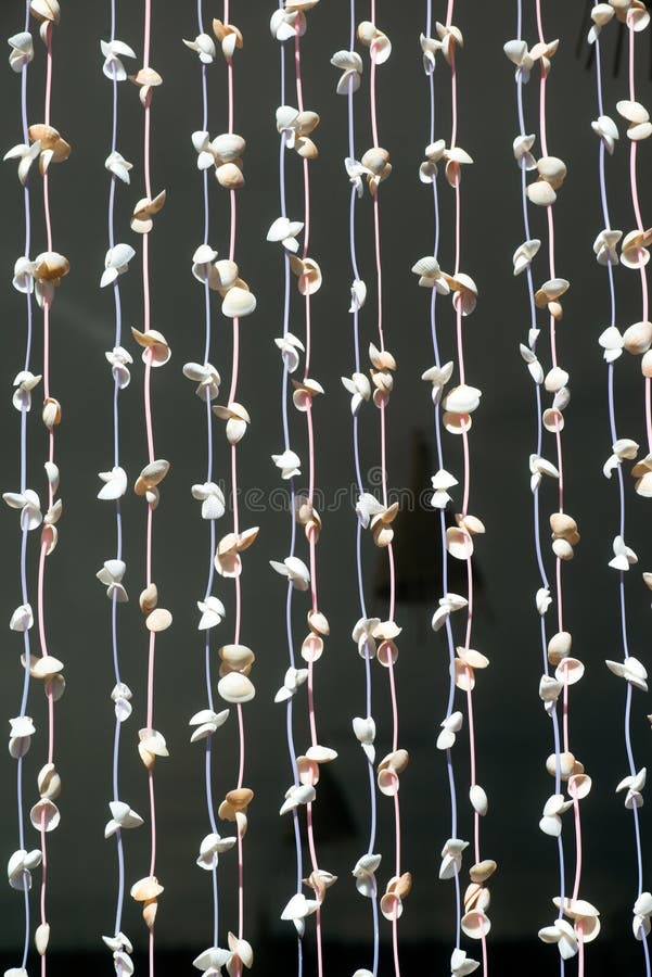 Sea Shell Mobile Hanging Decoration in the Shop. Stock Photo - Image of ...