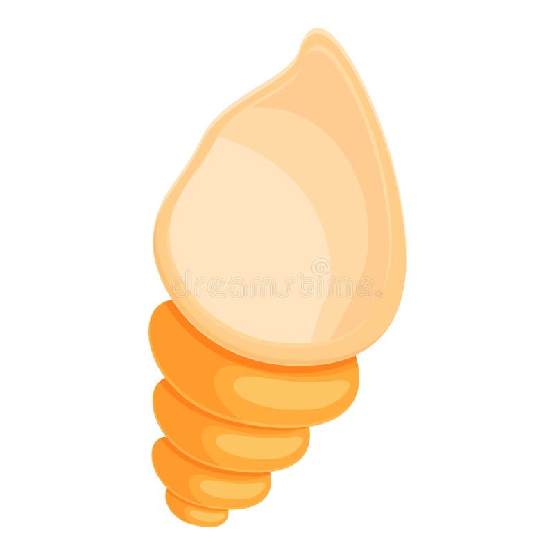 Beautiful Seashell Standing Upright on White Background Stock Vector ...