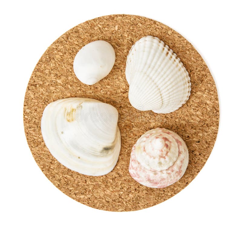 Beautiful Seashells on the Circular Cork Base, Isolated Stock Photo ...