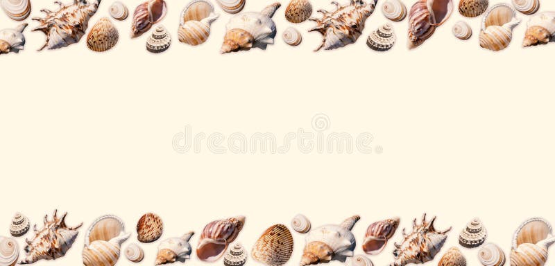 Beautiful Seashells Frame for Text. Stock Photo - Image of season ...