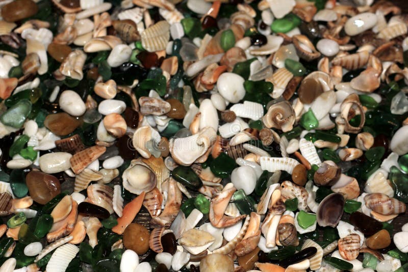 Beautiful Seashells and Glass on the Beach Stock Image - Image of coast ...