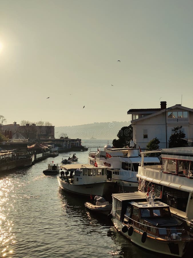 Beautiful Seaview Waterline Waves in a Shallow and Sharks Swimming by ...