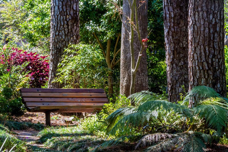 A Beautiful Secluded Park Bench in the Garden Stock Image - Image of ...