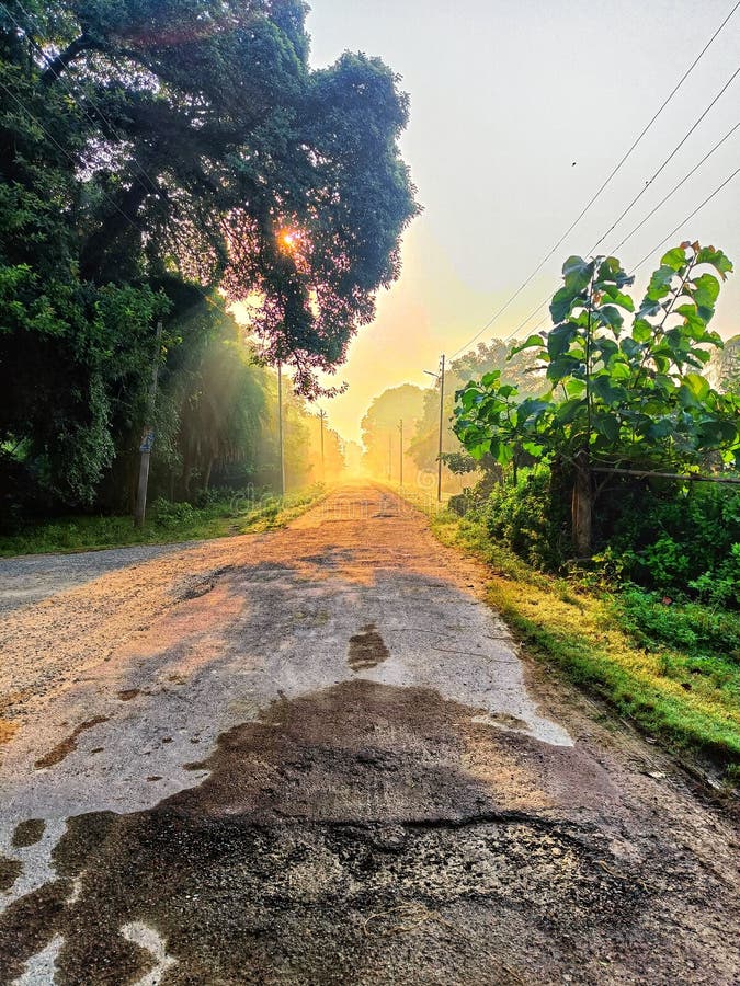 Beautiful Senre stock image. Image of senre, sunlight - 265398759