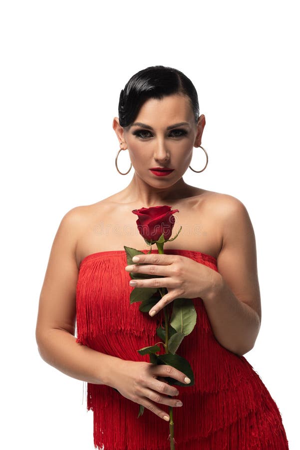 Tango Dancer in Black Suit Holding Red Rose while Looking at Camera on ...