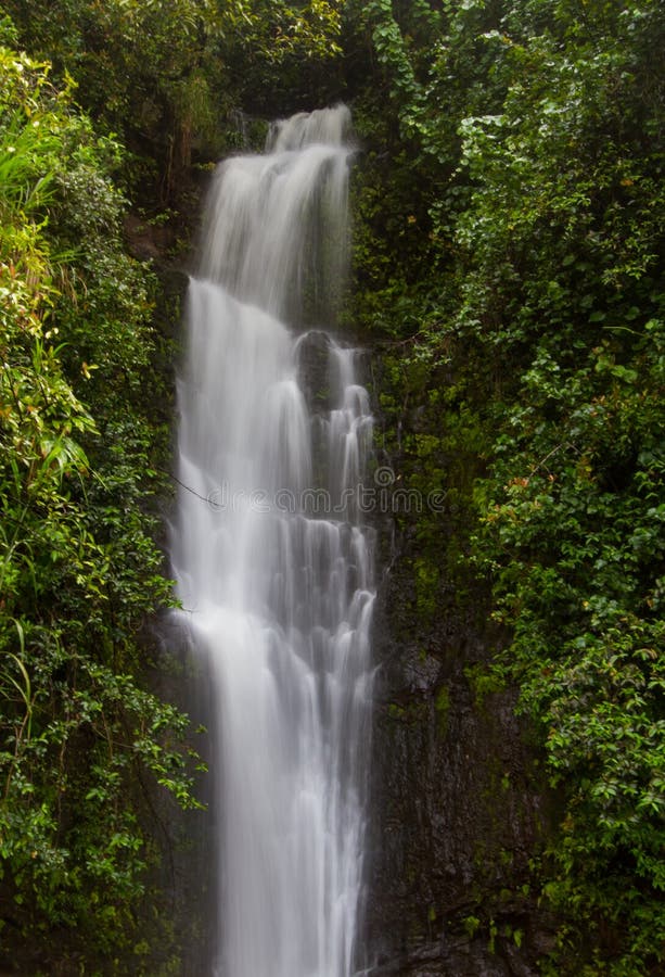 Serene Waterfall Flowing through a Hidden Jungle Oasis Stock Photo ...