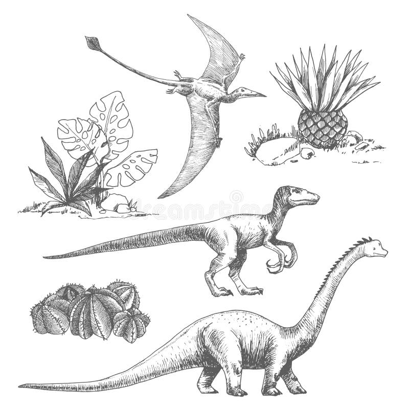 Beautiful Set with Cute Vector Dinosaur Illustrations. Stock Vector ...