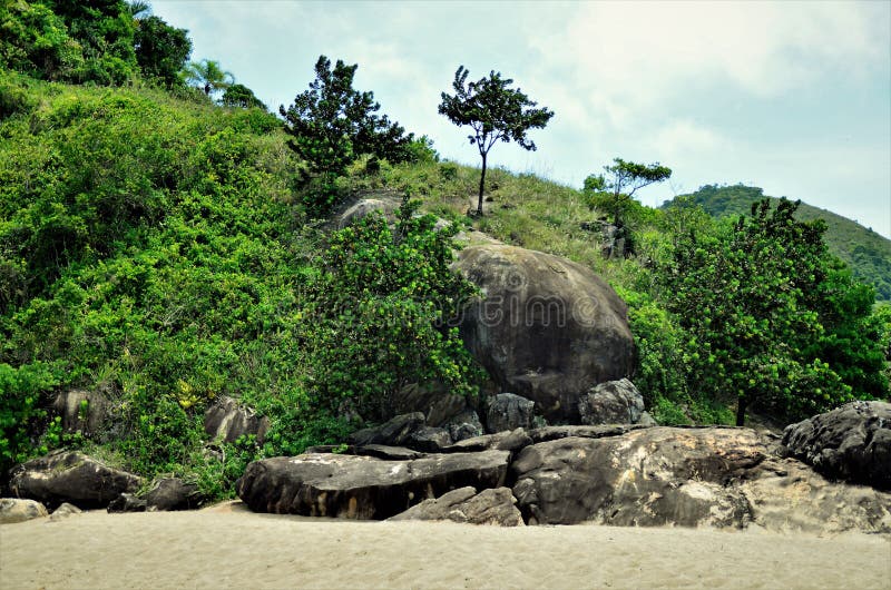 Beautiful Set of Capricorn Beach Stones Stock Image - Image of beach ...