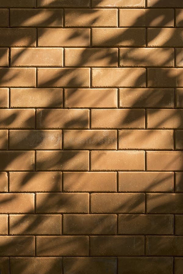 Beautiful Shadow Drop of a Leave and Branch on Red Brick Wall. Stock ...
