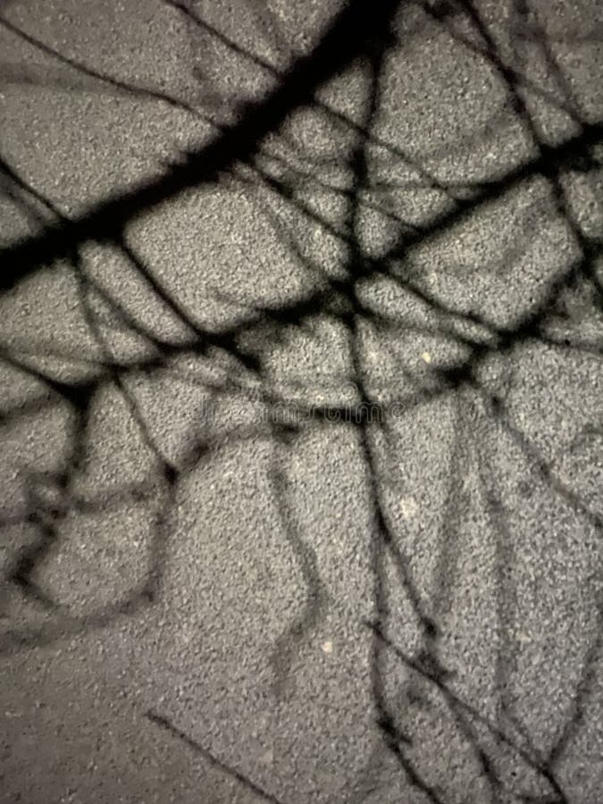 Beautiful Shadows on Asphalt at Night Stock Image - Image of beautiful ...