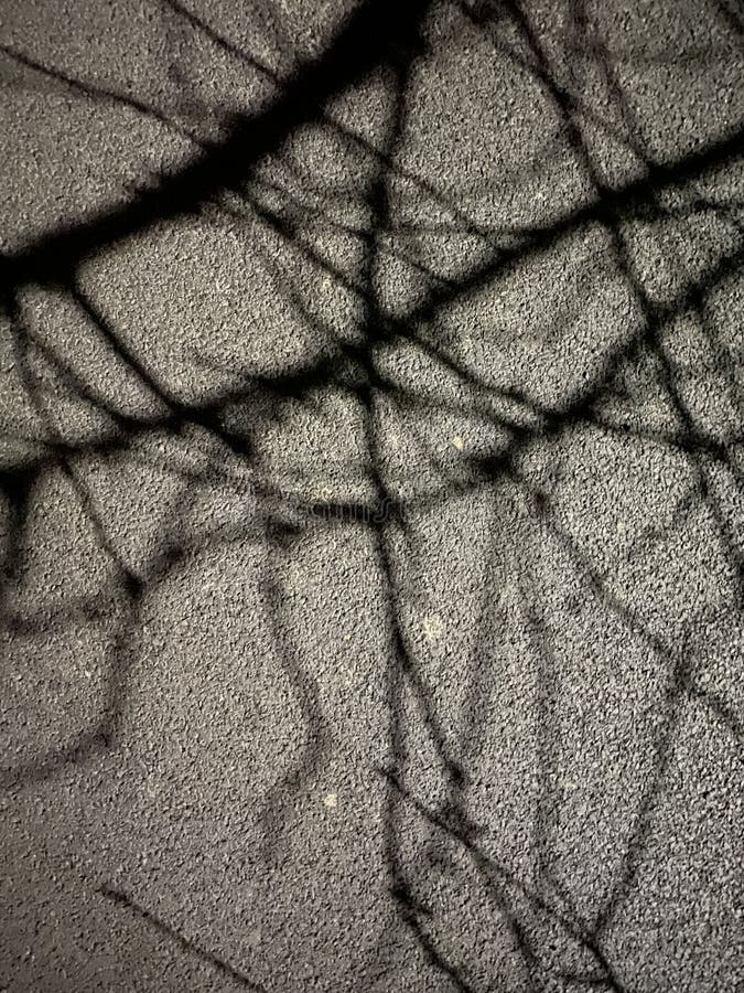 Beautiful Shadows on Asphalt at Night Stock Photo - Image of asphalt ...