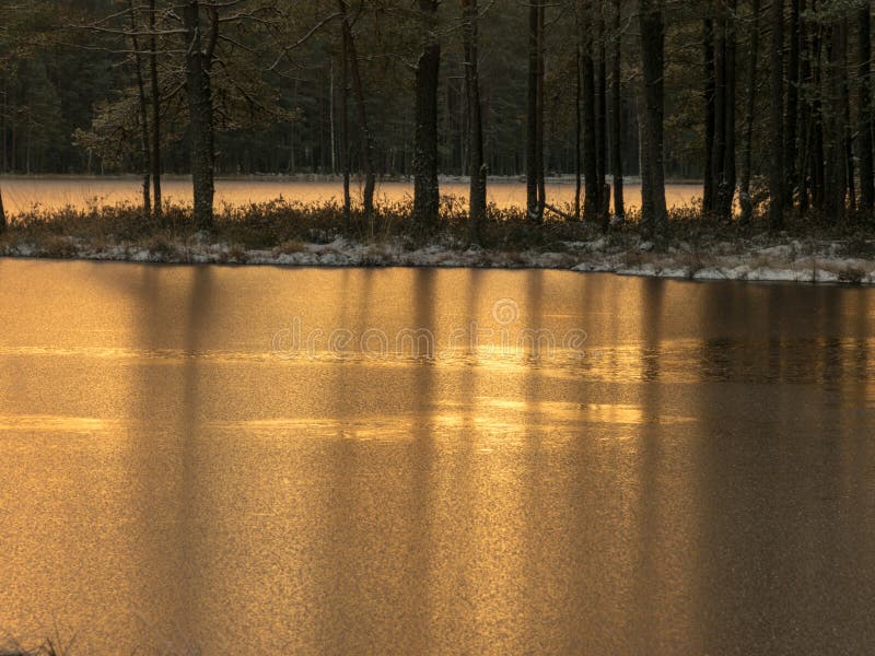 Beautiful Shadows and Glare on the Ice Texture Stock Image - Image of ...