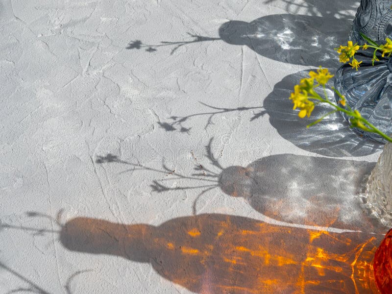Beautiful Shadows from Glass Vases in Harsh Light Stock Image - Image ...