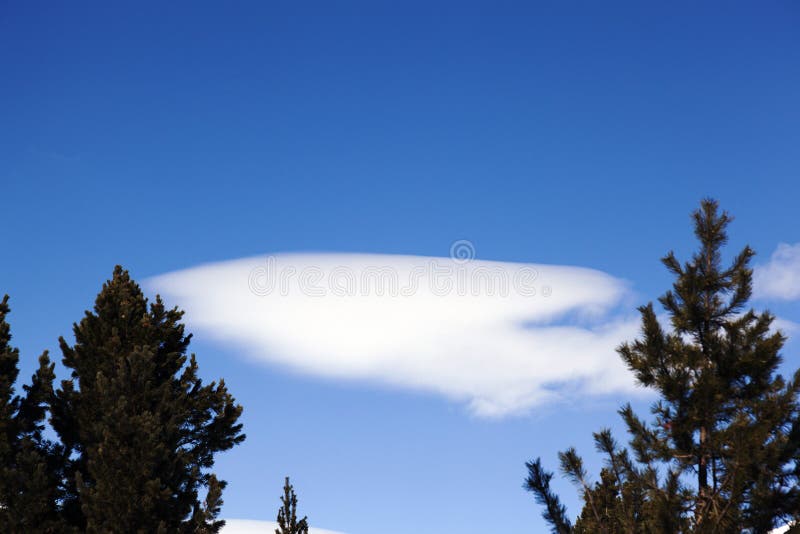 A Beautiful Shaped Cloud in between Two Pine Trees in Blue Sky in St ...
