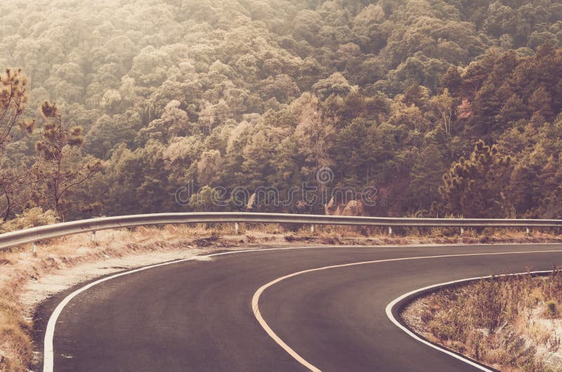 Beautiful Sharp Curve of Local Road in Big Forest. Stock Photo - Image ...