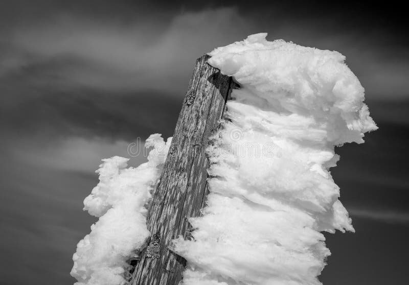 Beautiful Sharp Ice on Wood Stock Photo - Image of snow, beautiful ...