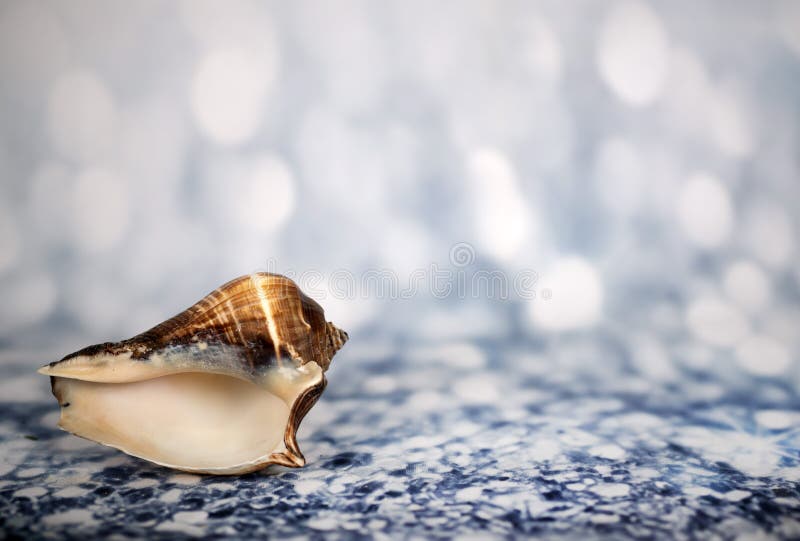 Shellfish on blue stock image. Image of slate, text - 316289189