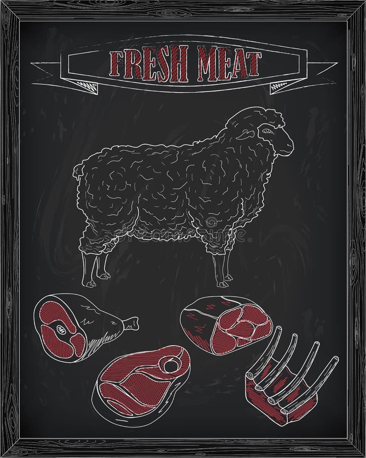 Beautiful Sheep and Cutting Meat Scheme Stock Vector - Illustration of ...