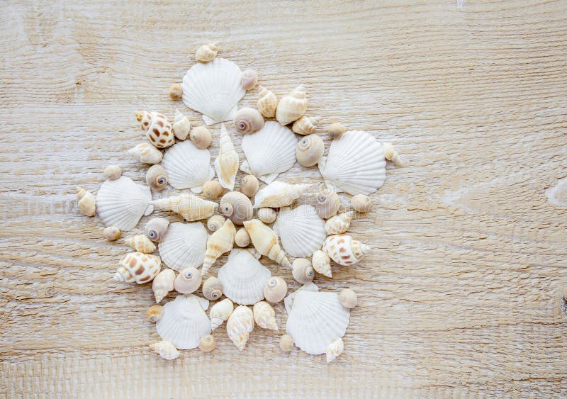 Beautiful Shell Mandala Pattern Made of Real Seashells. Stock Photo ...