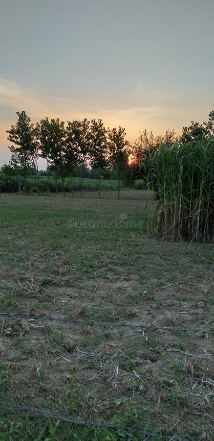 Beautiful Sinri Stock Photos - Free & Royalty-Free Stock Photos from ...