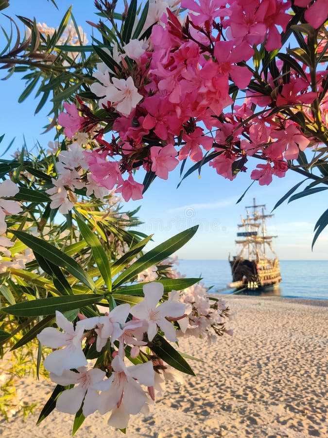 A Beautiful Ship is Sailing in the Blue Sea Stock Image - Image of ...