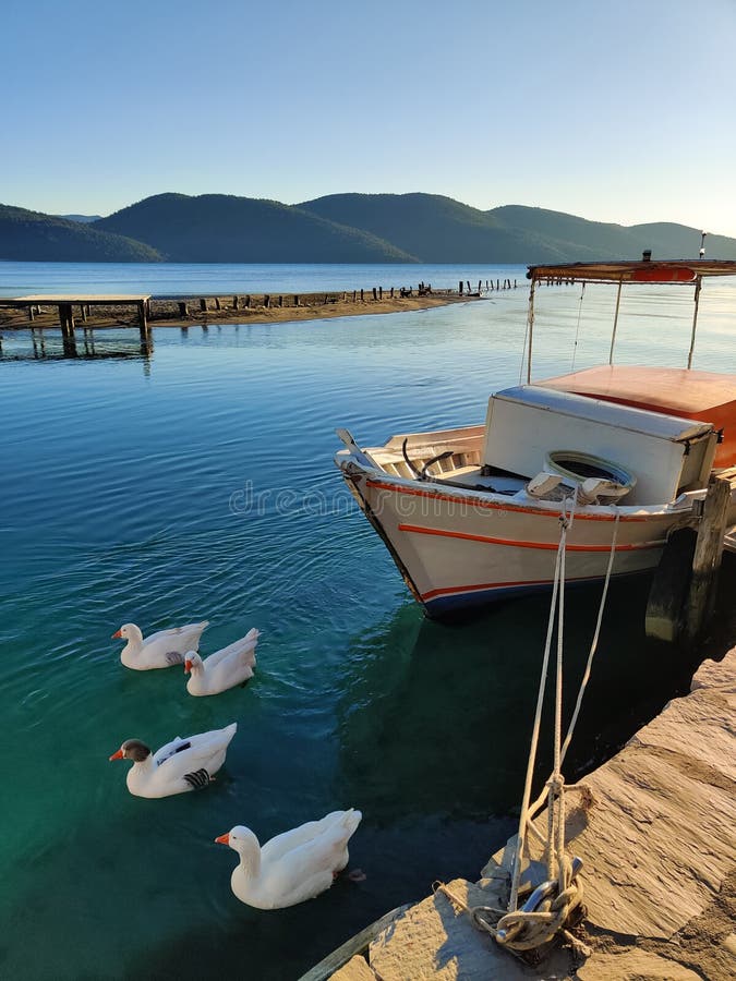 Beautiful Ships and Boats are Moored Near the Shore Stock Image - Image ...