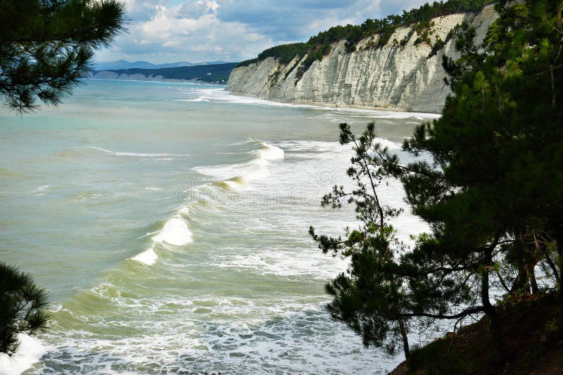 Beautiful Shore on the Black Sea Coast Stock Photo - Image of evergreen ...